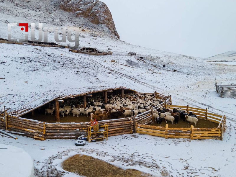 СУМЫН ЗАСАГ ДАРГА ТӨСВИЙН 30 САЯ ТӨГРӨГӨӨР МАЛЧНЫХАА ӨВӨЛЖӨӨНД ХУДАГ ӨРӨМДҮҮЛЖЭЭ